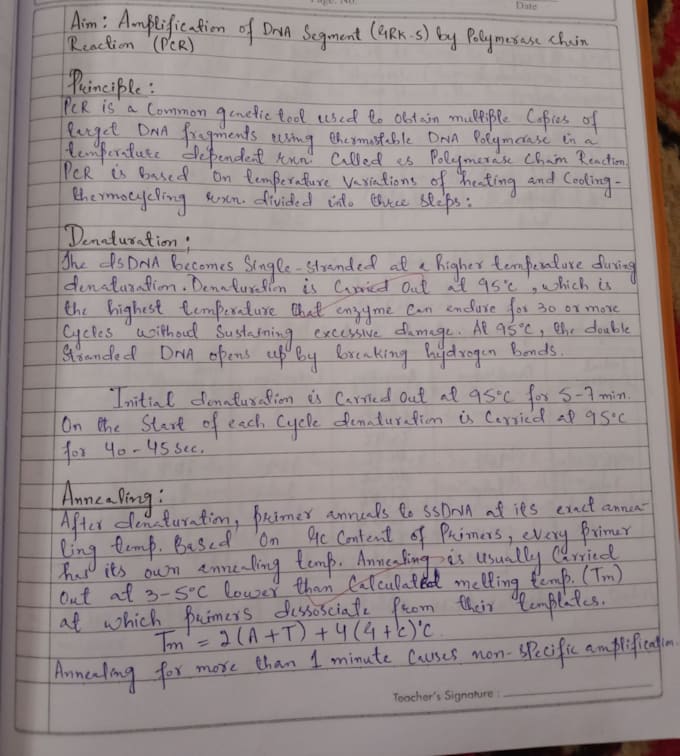 Do hand writing notes and assignments by Ummuimmu | Fiverr