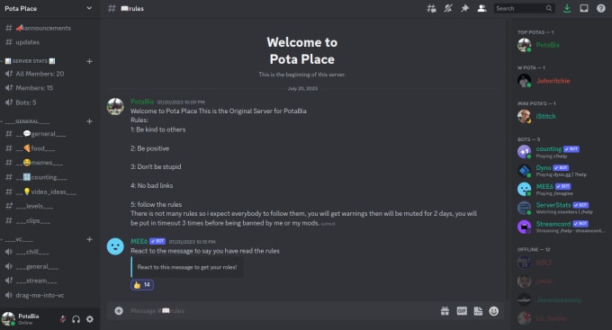 Make you a small discord server by Ty_leggs | Fiverr