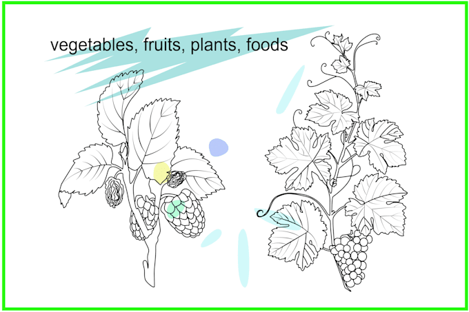 Draw vegetables, fruits, plants, foods digital illustrations by Rina ...