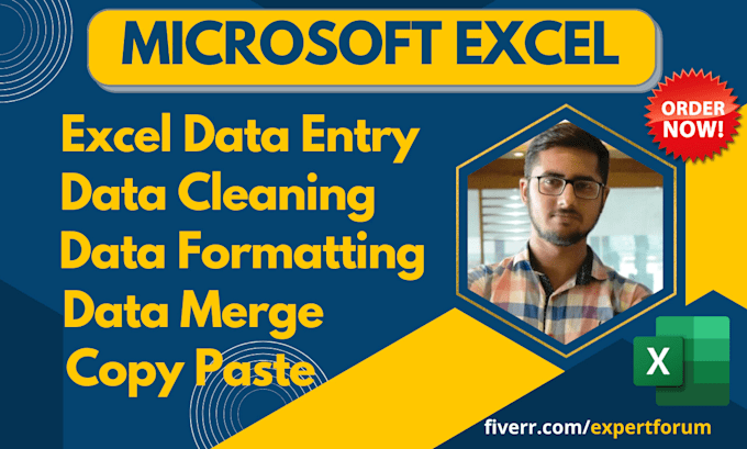 Excel Data Entry Data Cleaningformattingmerge And Vlookup By Expertforum Fiverr