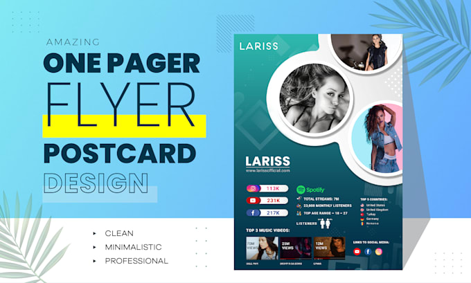 Do one pager flyer postcard with lifetime free support by Aryan ...