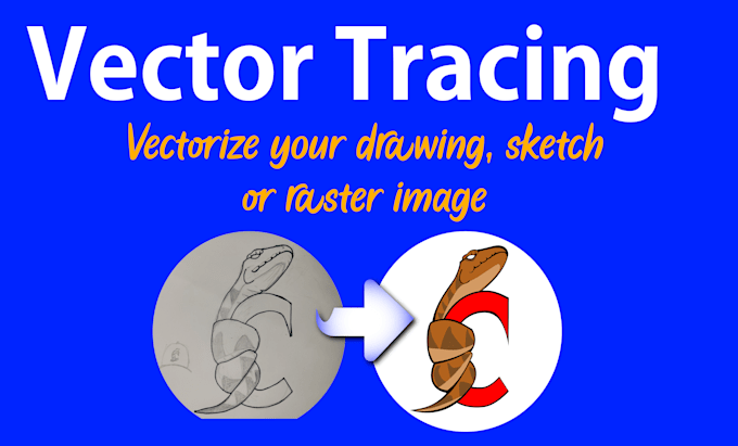 Vectorize your drawing or sketch by Tymetyrant | Fiverr