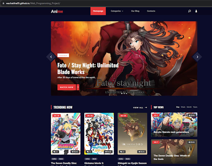 Provide expert web development services by Waleedchattha05 | Fiverr