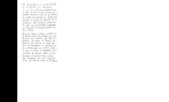 Hand write letter and cards for you by Aleeshaislam | Fiverr