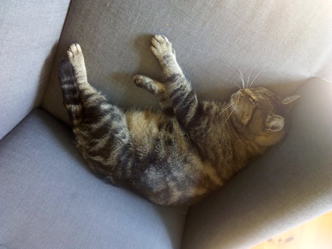 Write story or worldbuilding under a custom prompt by Fluffcat13 | Fiverr