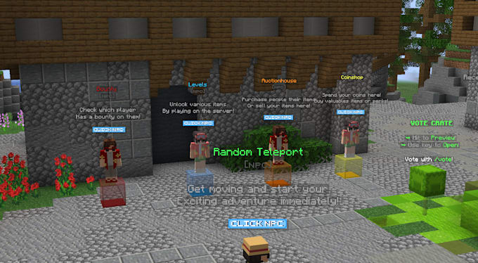 Setup a specialized minecraft server for you by Shakemc | Fiverr