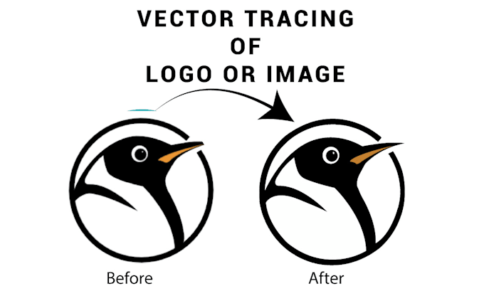 Do professional manual vector tracing for logo and image recreation by ...