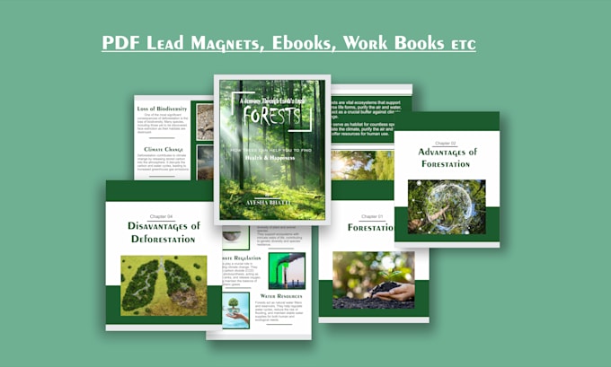 Design a professional pdf lead magnet, ebook and other pdfs by Ab ...