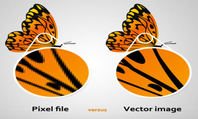 Converting images from pixels to vectors by Amerhomade | Fiverr Converting images from pixels to vectors by Amerhomade | Fiverr