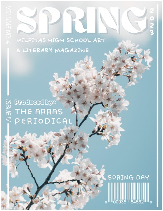 Design clean, aesthetic graphics by Bunni_designs | Fiverr