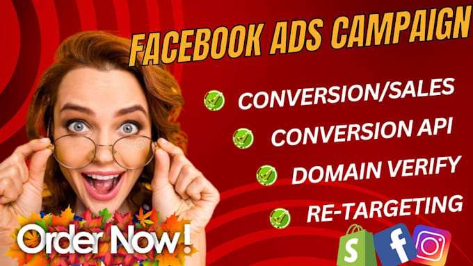 Create and manage instagram and facebook ads campaigns by Nayemali44 | Fiverr