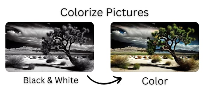 Transform your black and white photos into colorized photos by ...