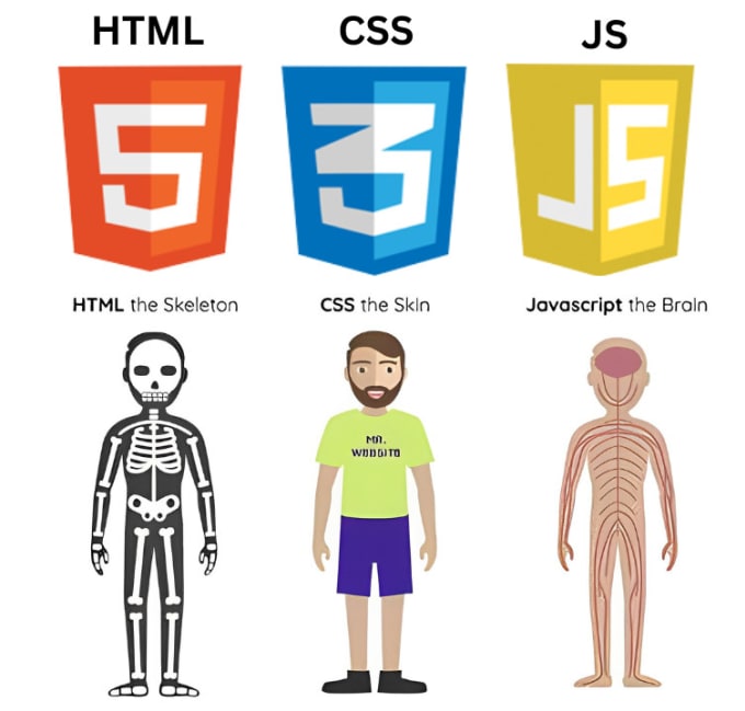 Build And Refactor Javascript Html And Css Code For You By Anasfarooq818 Fiverr