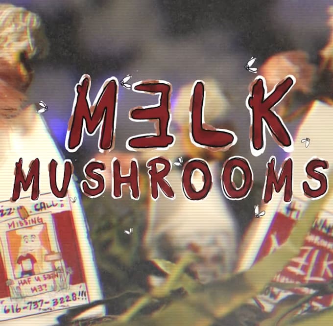 Create a unique stop motion animation video for you by Melkkid482 | Fiverr