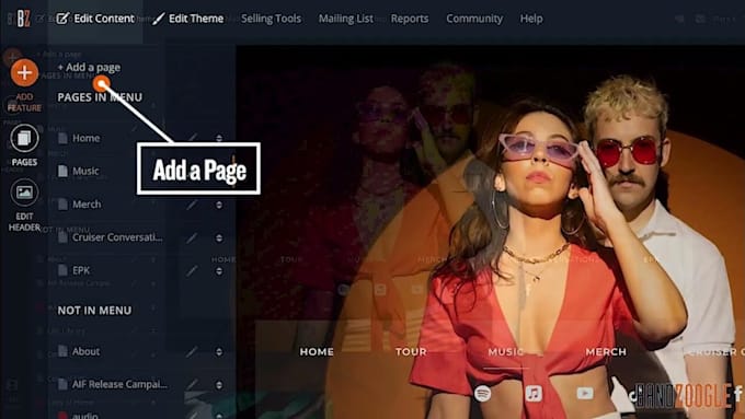 Do shopify custom coding, bug fixing, and paymentgateway by Karlpeter9140 | Fiverr