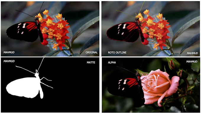 Do rotoscoping, chroma keying, blue green screen, object removal, vfx ...