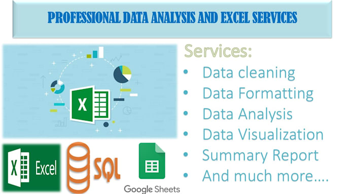 Do professional data analysis and excel services by Reejazzzz | Fiverr