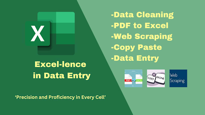 Do excel data entry, data cleaning, pdf to excel, web scraping and copy paste by Jssandhu1313 ...