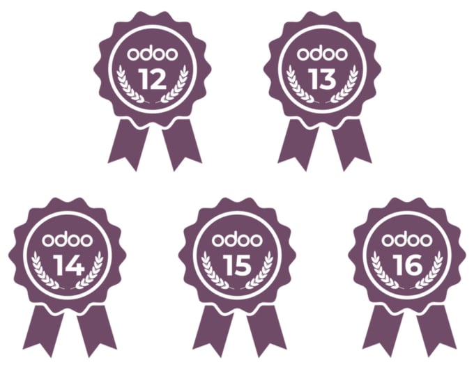 Train You For The Odoo Certification V16 By Odooconcept Fiverr