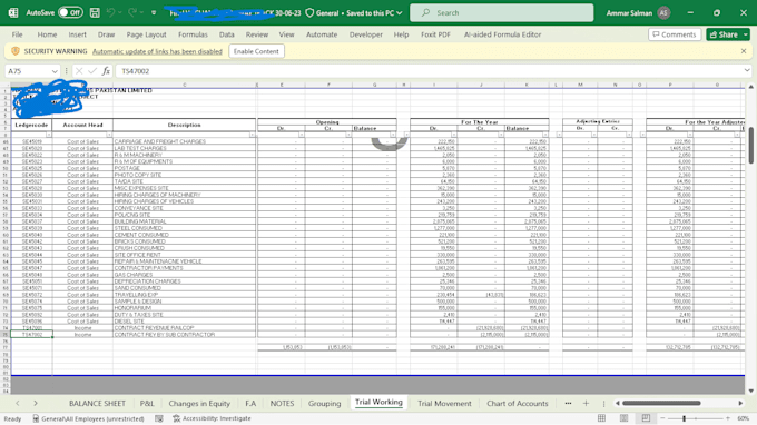Create custom excel spreadsheet, finance and accounting work by Ammarsalman999 | Fiverr