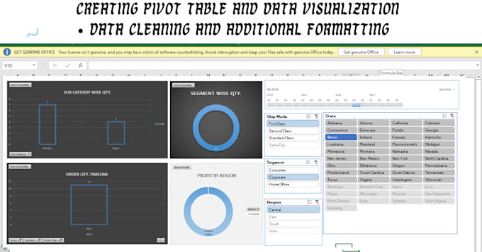 Make pivot table, data visualization by Prnjul123 | Fiverr
