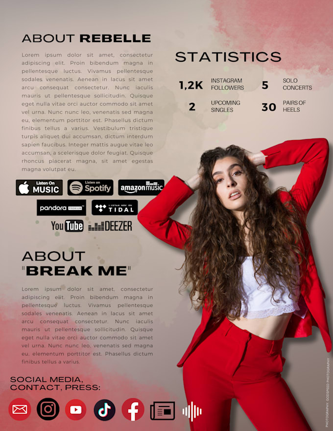 Make your artist epk as a one sheet by Poss_design | Fiverr