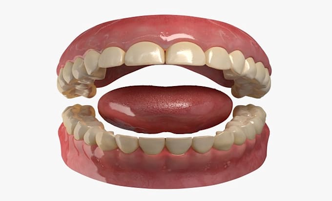 Do clean 3d medical animation, 3d dental animation, educational and ...