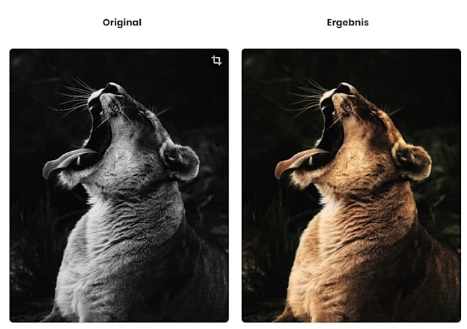 Converting a black and white picture into color picture by Drlololo ...