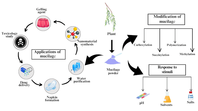 Craft graphical abstracts illustrations and figures by Zain_fatima123 ...