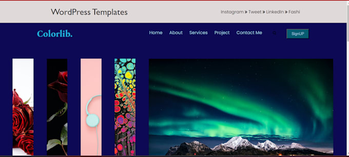 Create eye catching html css javasscript front end designs of website ...