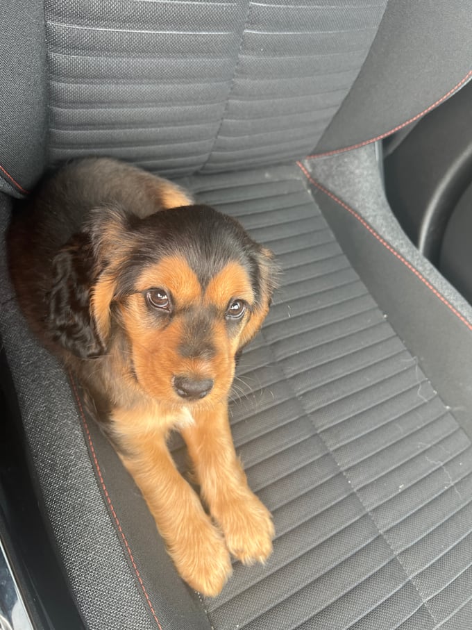 Do coding for games and websites, it support and lessons by ...