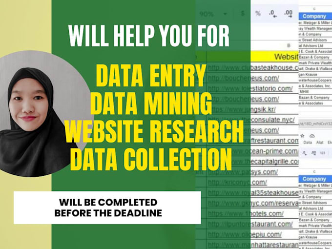 Data entry data mining web research excel spreadsheet by Resmamita | Fiverr