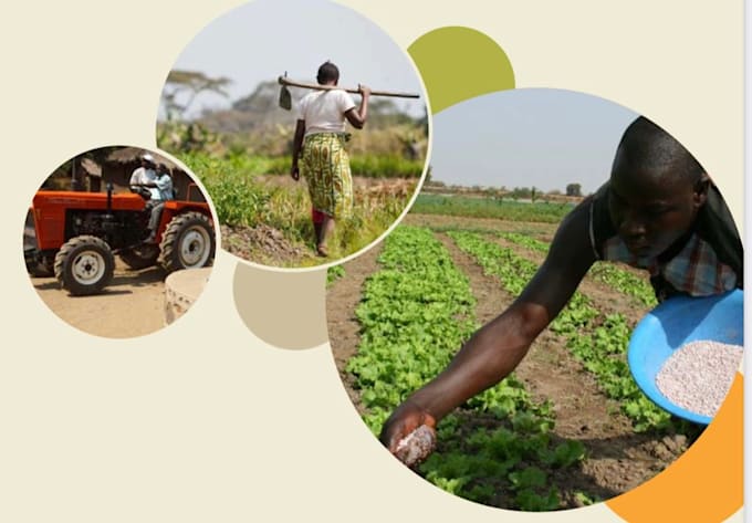 Do cost analysis of farming agri inputs by Mabbassherazi | Fiverr