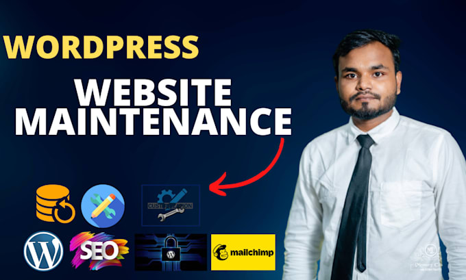 Provide wordpress website maintenance update setup problem solve and ...