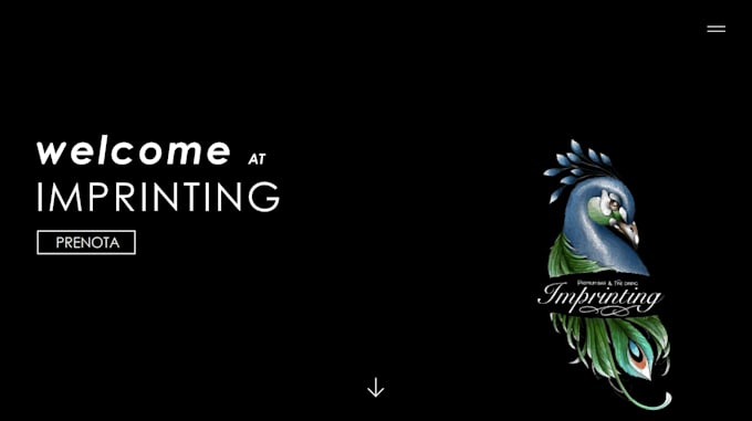 Design a layout for your amazing website by Tartigro | Fiverr