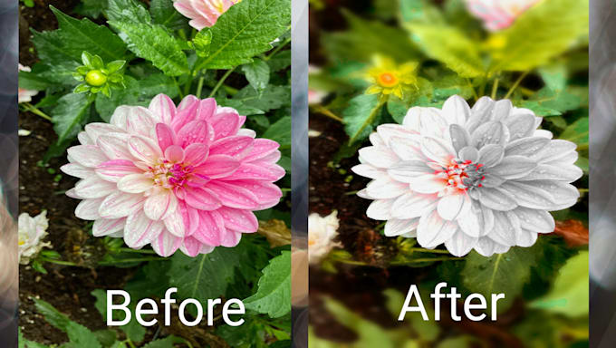 Very blurry photos, upscale and enhance resolution of photos by ...