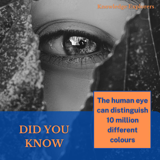 Create crafting engaging social media posts for your business by ...