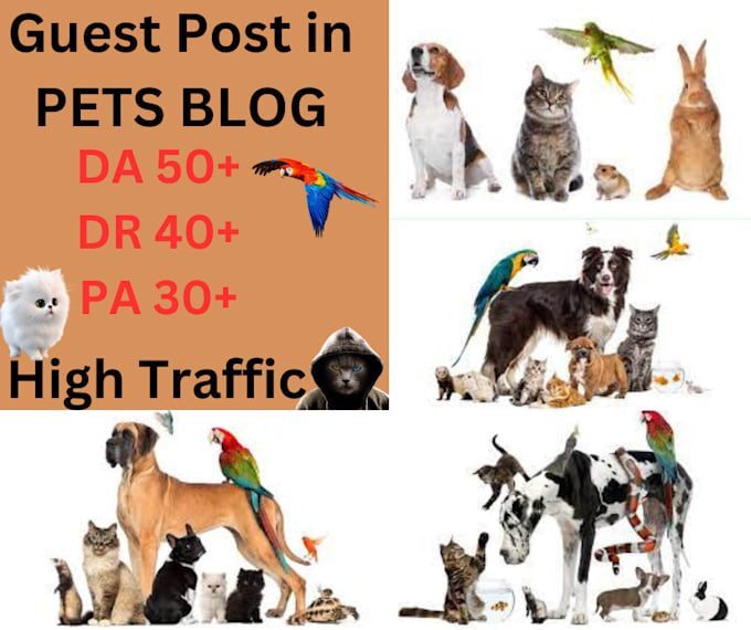 Do high da pa high traffic guest post by Khansaabseo | Fiverr Do high da pa high traffic guest post by Khansaabseo | Fiverr
