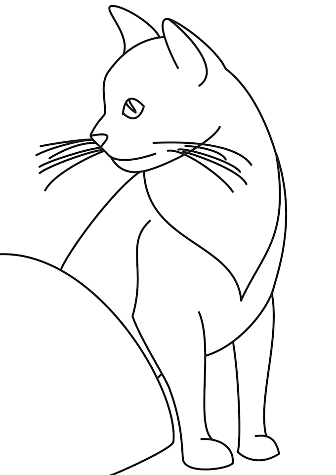 Draw coloring book pages for children and adults by Toxic_raikyn | Fiverr