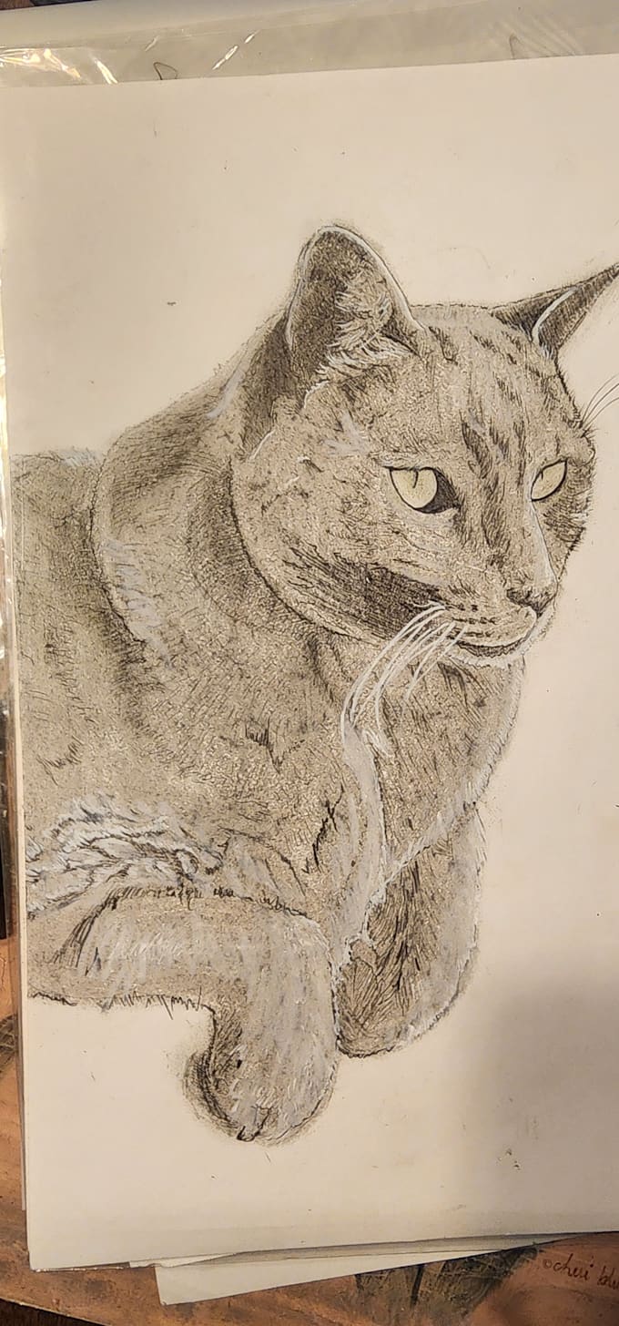 Draw beautiful high definition handdrawn pencil sketches by Artbyoreal ...