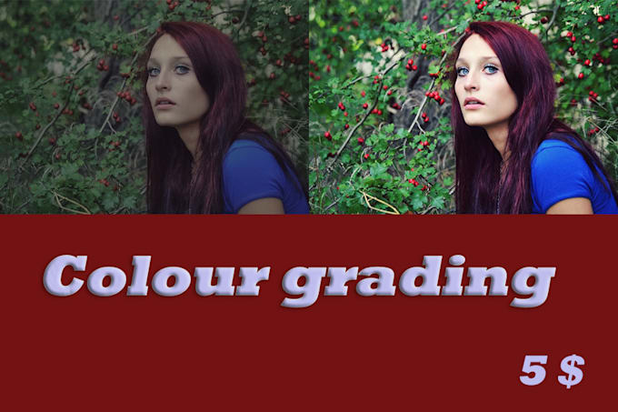 Colour grading your photos by Thilina10418 | Fiverr
