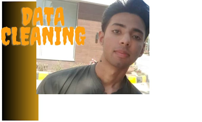 Do data cleaning in ms excel by Ahmed_web12 | Fiverr