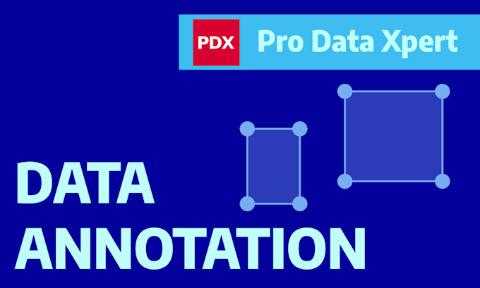 Expertly annotate your data with manual precision by Prodataxpert | Fiverr