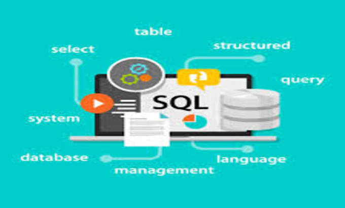 Design database mssql, mysql, erd, schemas, queries by Sidrah_89 | Fiverr Design database mssql, mysql, erd, schemas, queries by Sidrah_89 | Fiverr