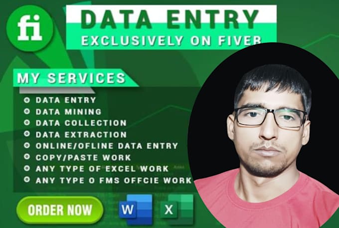 Perform data entry, copy paste, web research, excel data entry, and ...