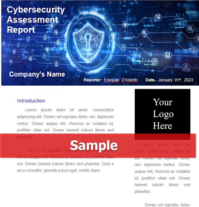 Cybersecurity assessment and action plan by Tolfus | Fiverr