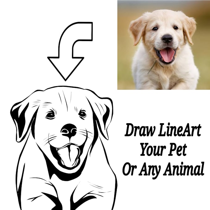 Create line art from photos of your pets by Misbahsirojul | Fiverr