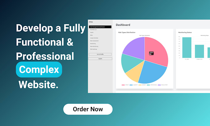 Develop a fully functional and professional complex website by Ali ...