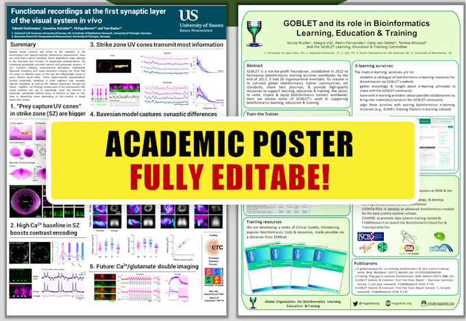 Design editable academic poster for conference, presentation and pitch ...