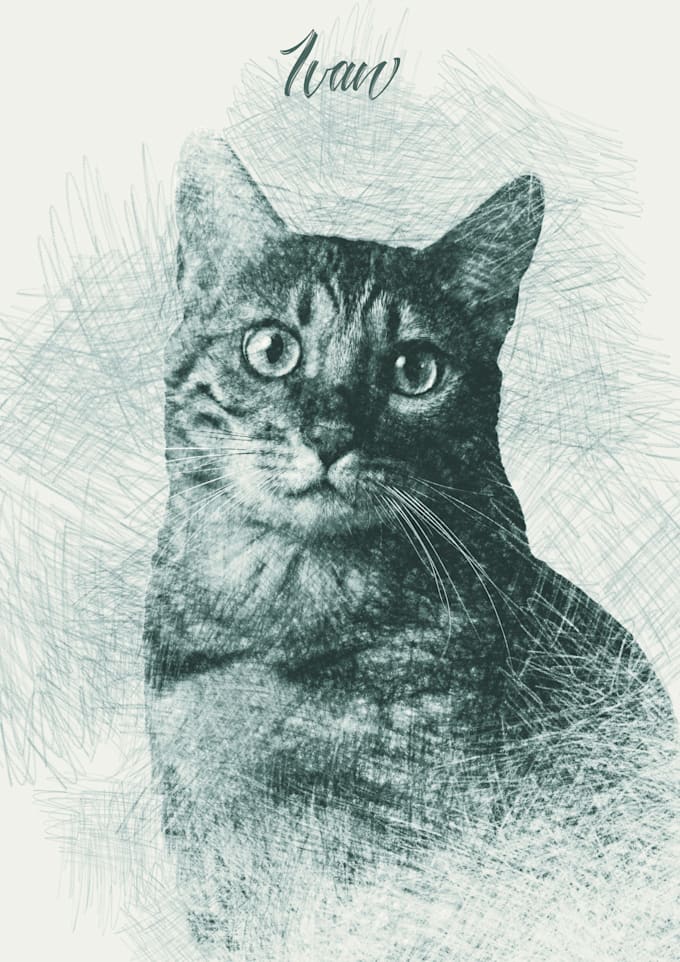 Create custom pet portrait scribble art by Glykastudio | Fiverr